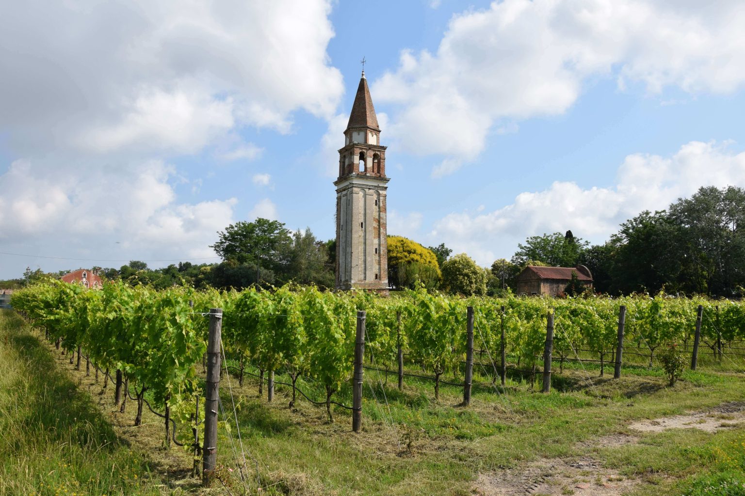 Venissa - Luana Bottacin